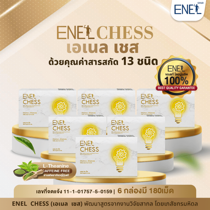 Product Category - ENEL THAILAND