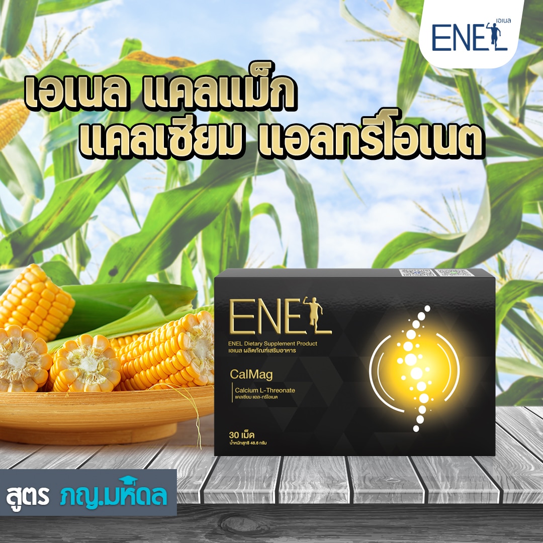 Product Category - ENEL THAILAND