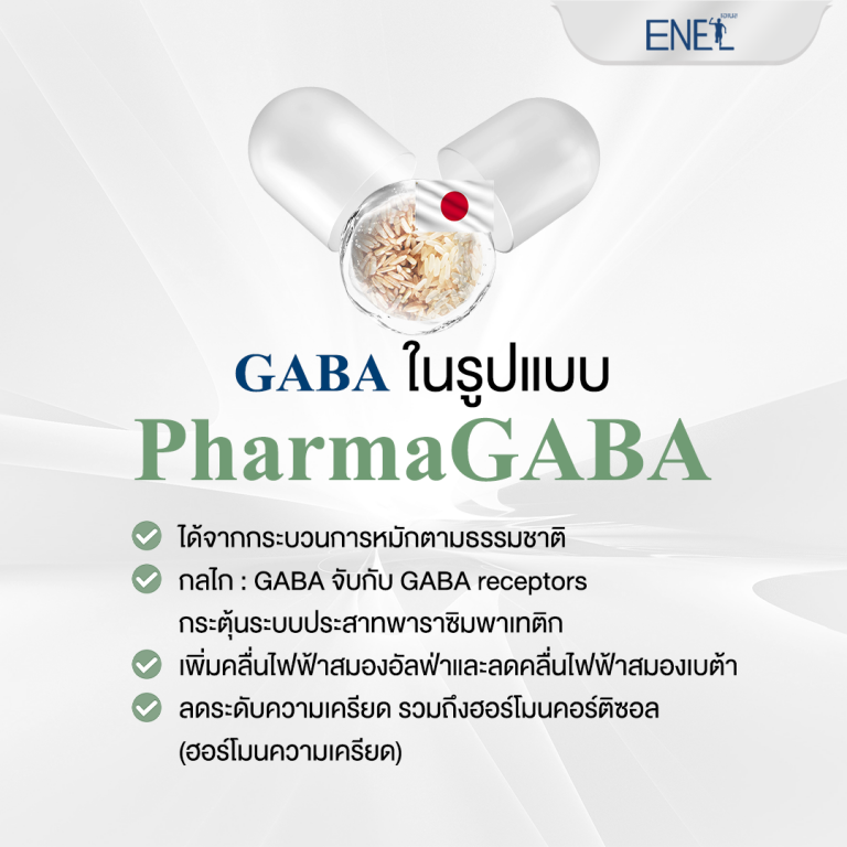 GABA คืออะไร มีประโยชน์ต่อสมอง,ความผ่อนคลาย และนอนอย่างไร ? - ENEL THAILAND