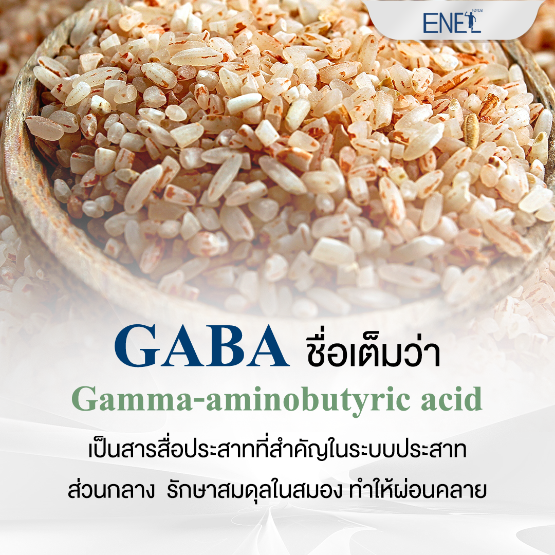 GABA คืออะไร มีประโยชน์ต่อสมอง,ความผ่อนคลาย และนอนอย่างไร ? - ENEL THAILAND