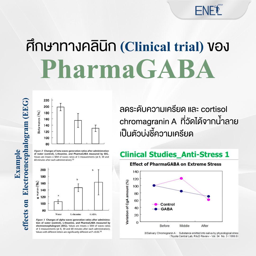 GABA คืออะไร มีประโยชน์ต่อสมอง,ความผ่อนคลาย และนอนอย่างไร ? - ENEL THAILAND