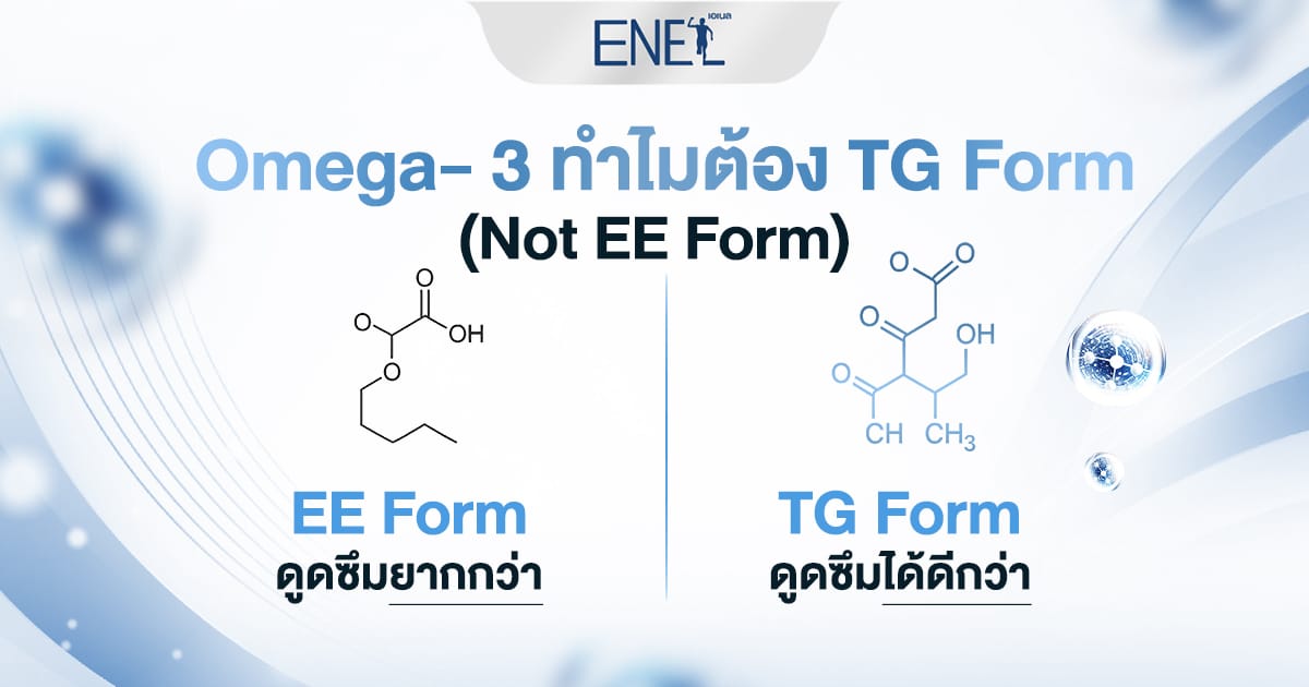 Omega-3 (โอเมก้า-3) ทำไมต้อง TG Form - ENEL THAILAND